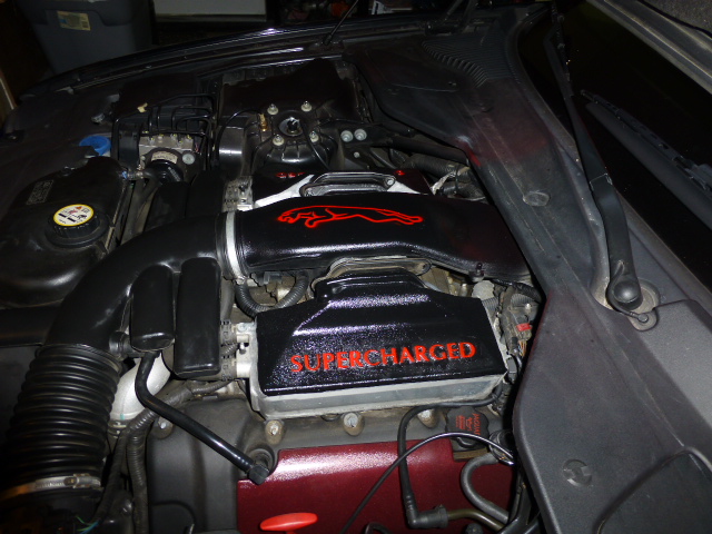 x350 xjr engine dress up - Jaguar Forums - Jaguar Enthusiasts Forum